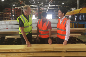 Hyne Timber announces significant expansion to GLT manufacturing ...
