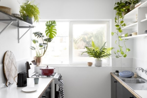 Haymes Paint releases Ultra Premium Kitchen & Bathroom interior paint ...